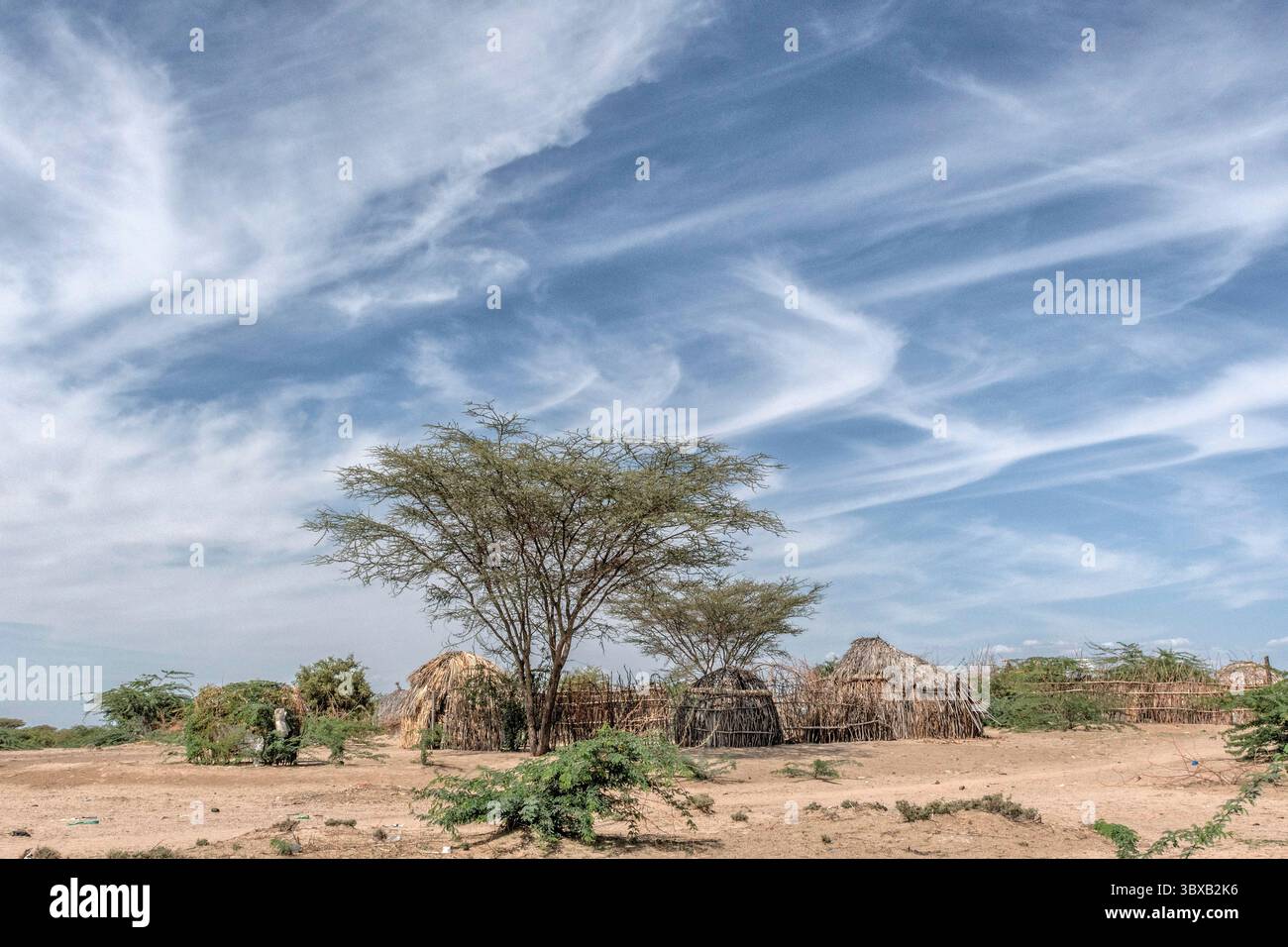 Reeds rules hi-res stock photography and images - Alamy