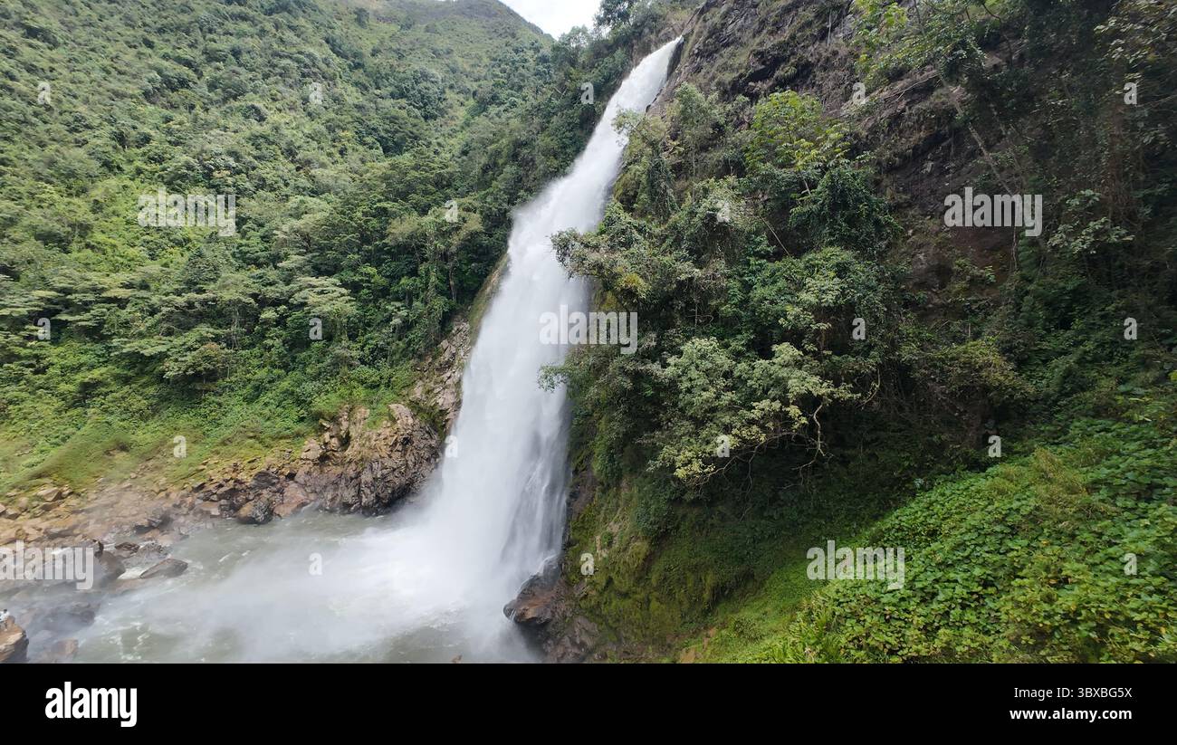 Aerial view lush rainforest colombian hi-res stock photography and ...