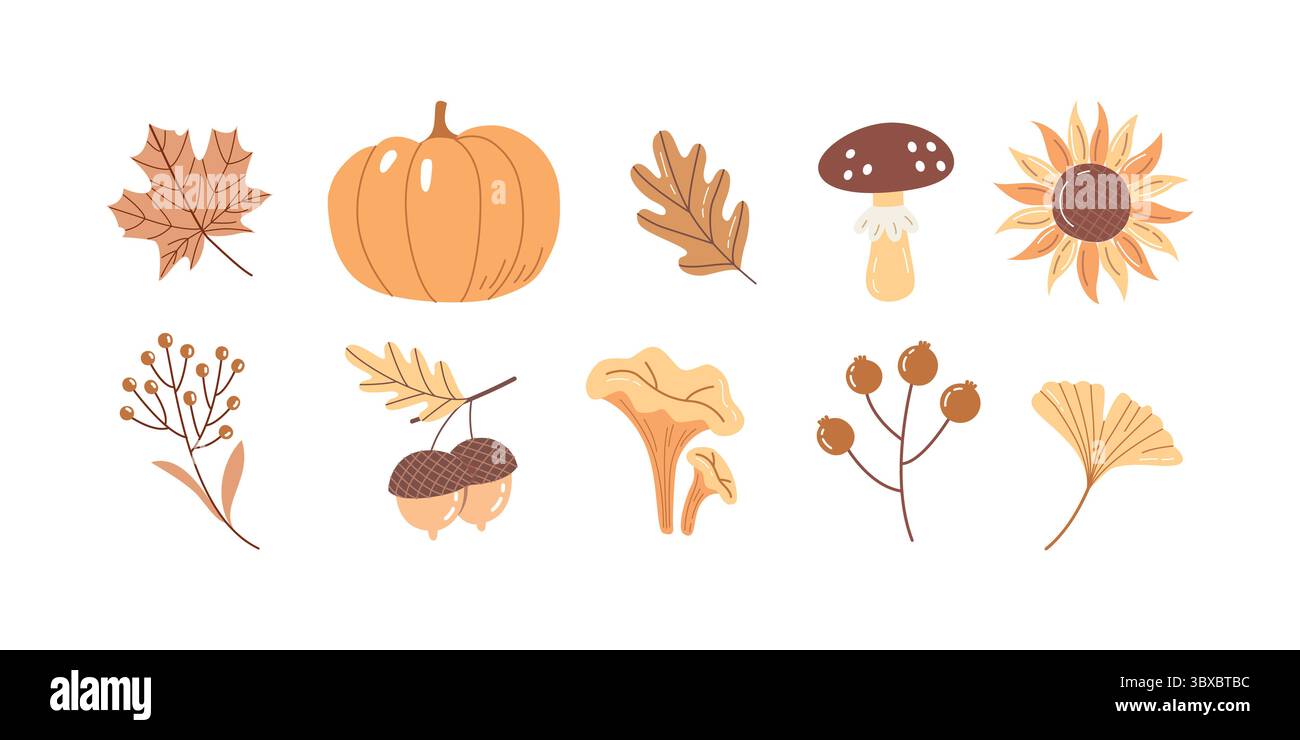Cute Hand Drawn Autumn Clipart Set Pumpkin, Mushrooms, Leaves, Acorn ...