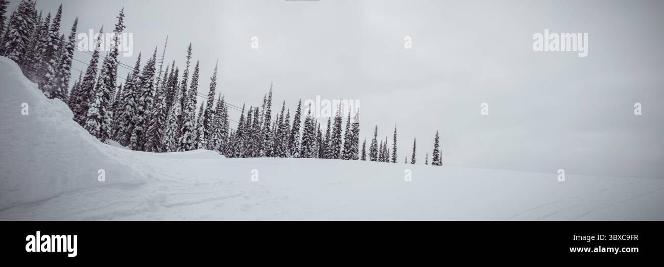 Showing flat design snowfield rising into conifer tree line with ...