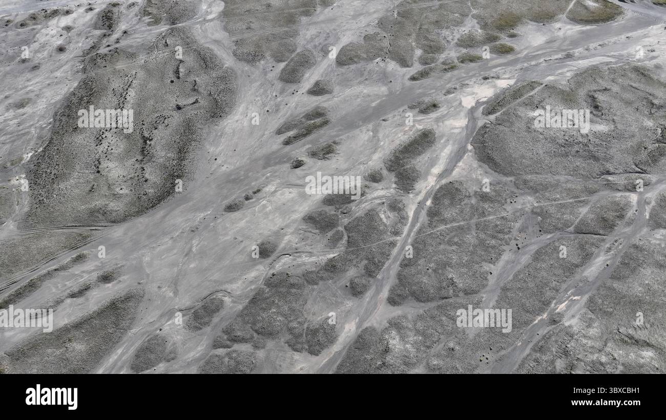 Sparse greenery lines hi-res stock photography and images - Alamy