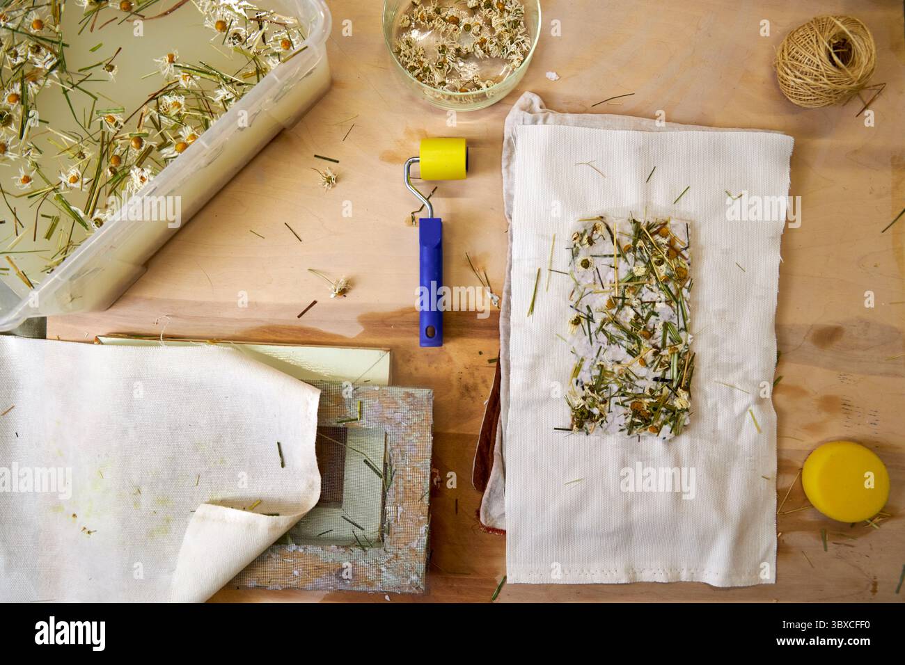 Organic papermaking hi-res stock photography and images - Alamy