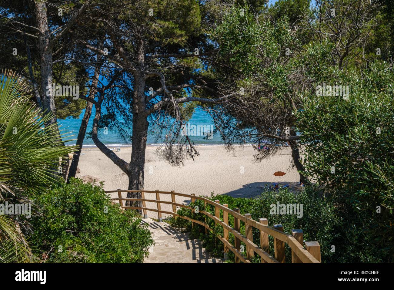 Stairs leading beautiful sandy hi-res stock photography and images - Alamy