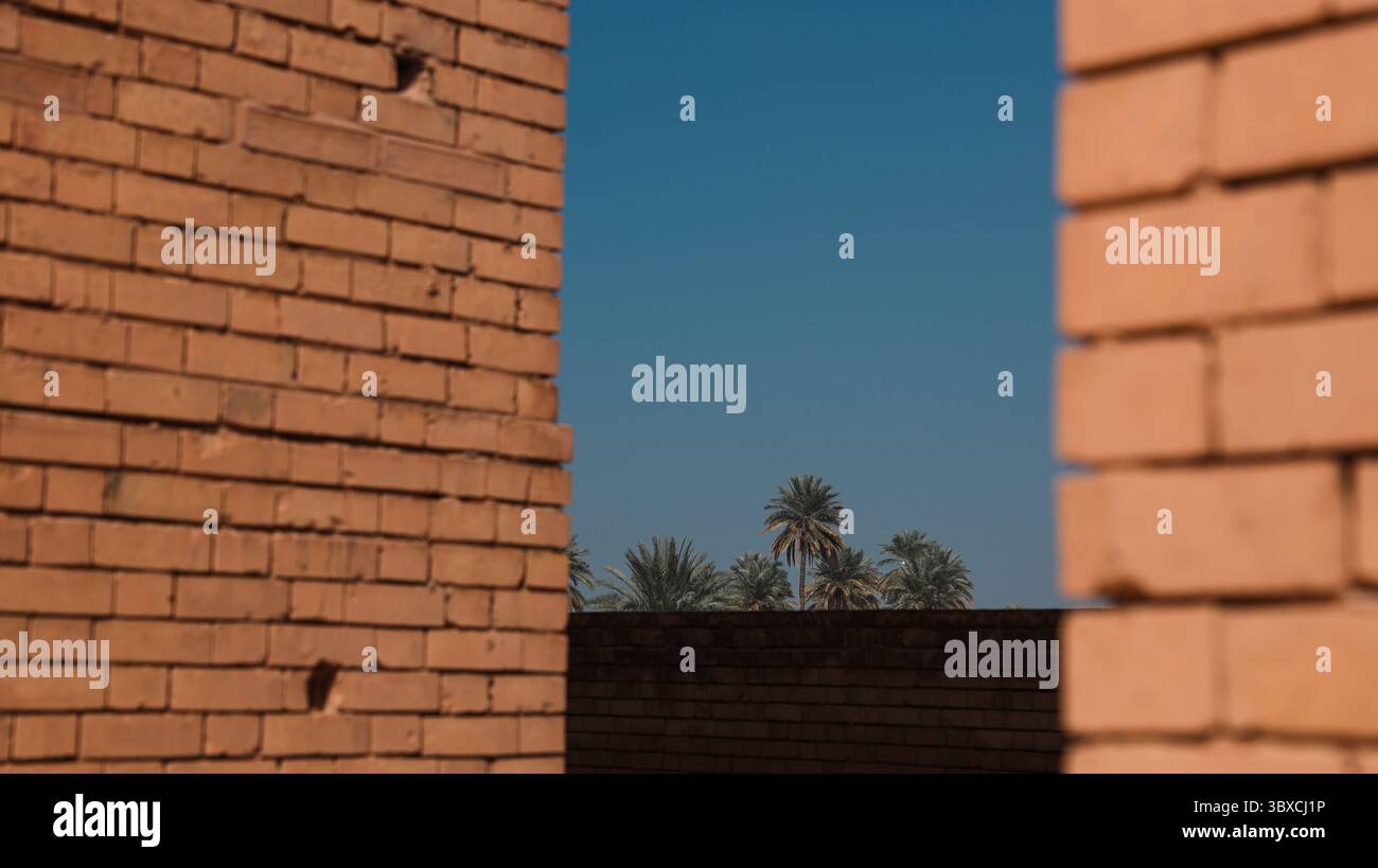 Ruins of Babylon reveal weathered brick walls with a view of palm trees ...