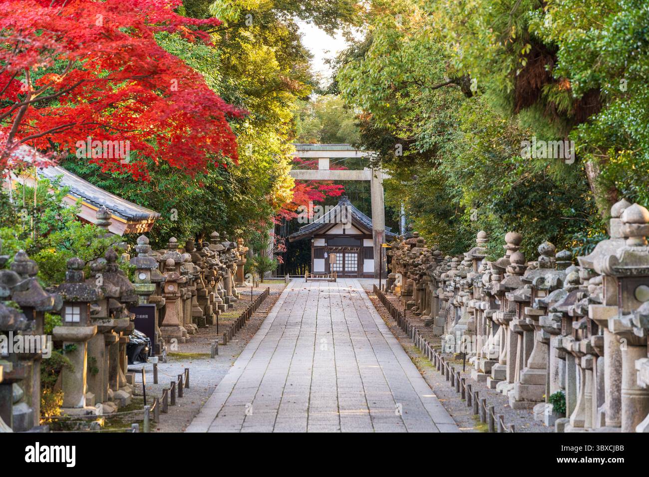 Yawata, Kyoto, Japan. The stone-paved approach to Iwashimizu Shrine ...