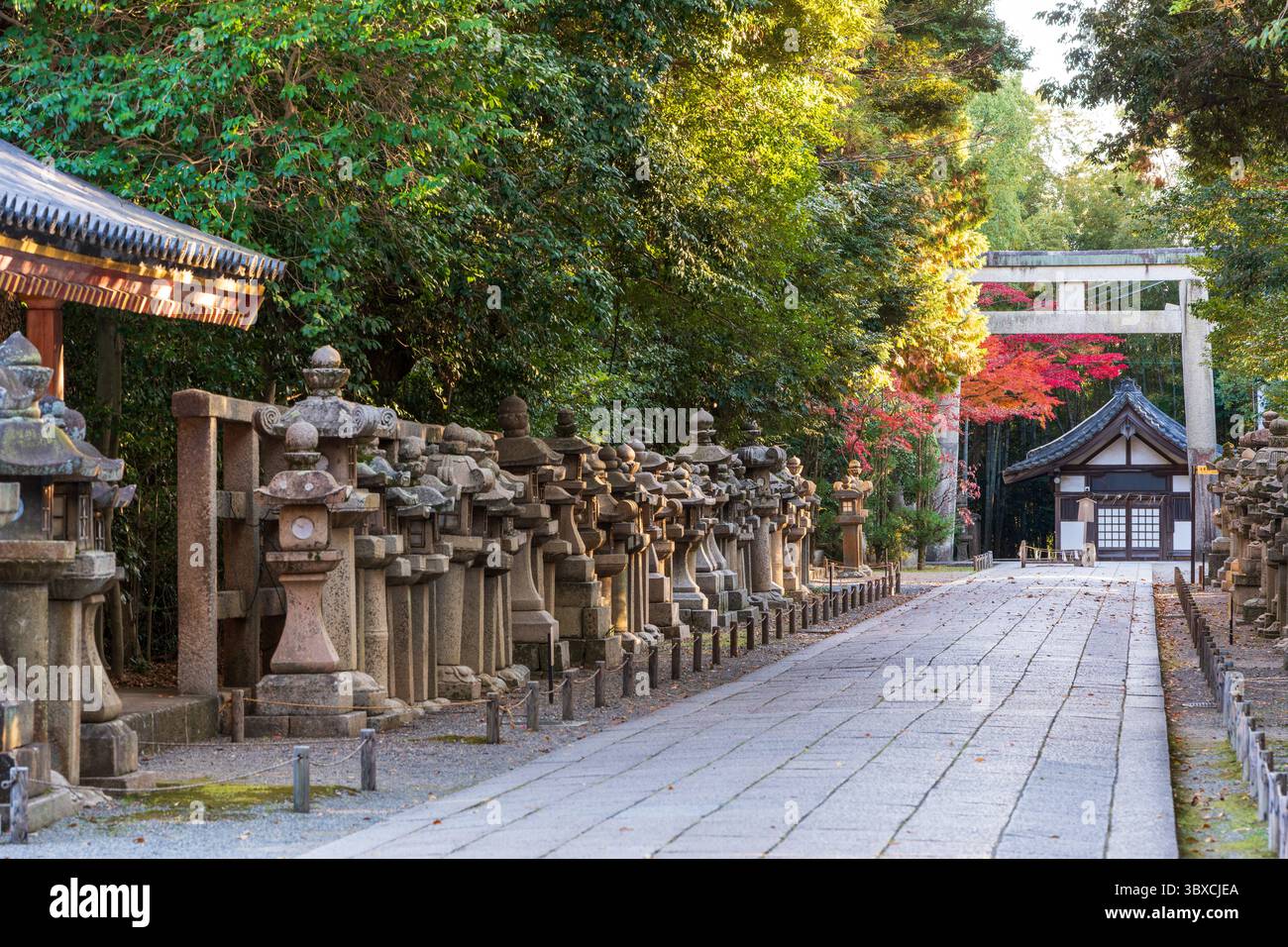 Yawata, Kyoto, Japan. The stone-paved approach to Iwashimizu Shrine ...