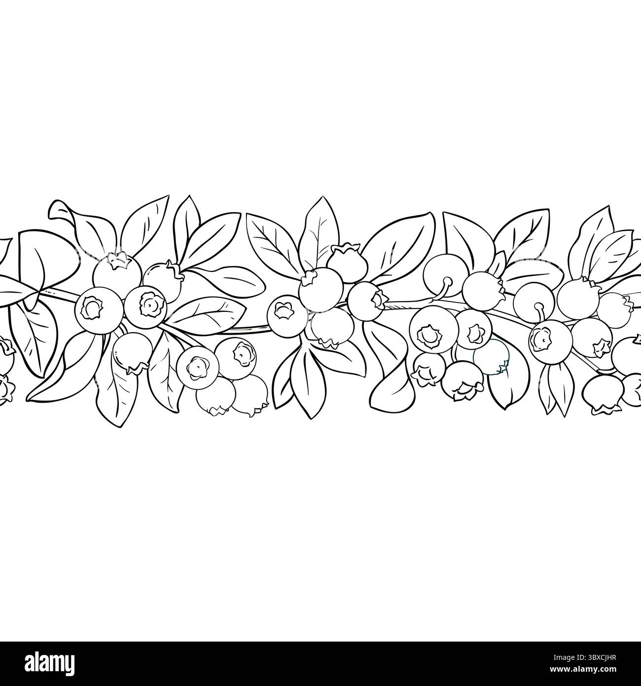 Blueberry Outline Horizontal Seamless Pattern Stock Vector Image & Art ...