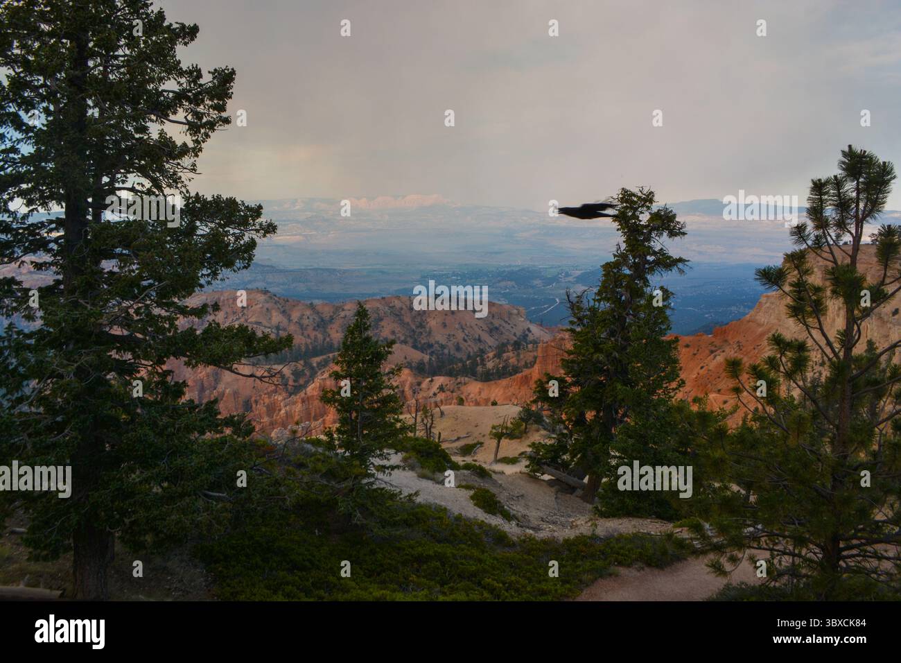 Family hiking in red mountains in Utah on summer vacation. Friends ...