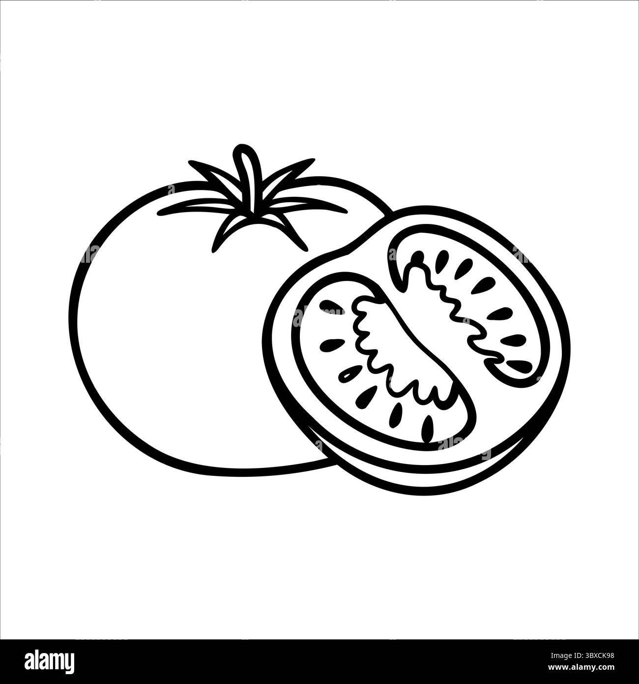 Engraved style hand drawn tomatoes and sliced tomato illustration Stock ...