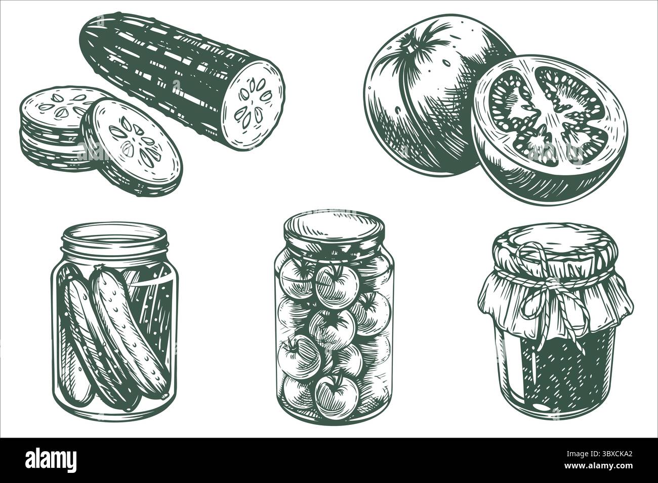 Jars marinated food raw Stock Vector Images - Alamy