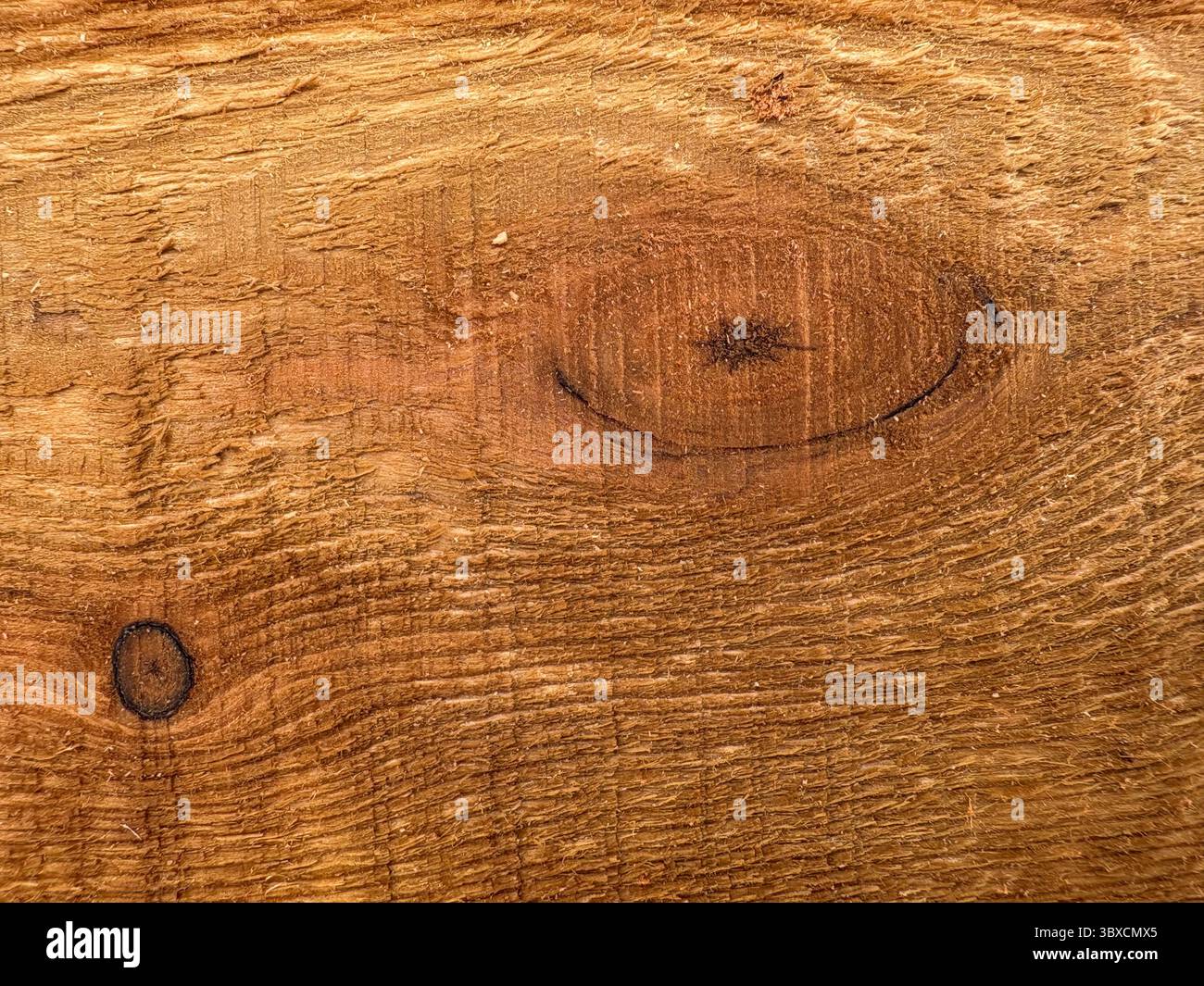 Texture of freshly cut wood. Wooden pattern. Background for banner ...