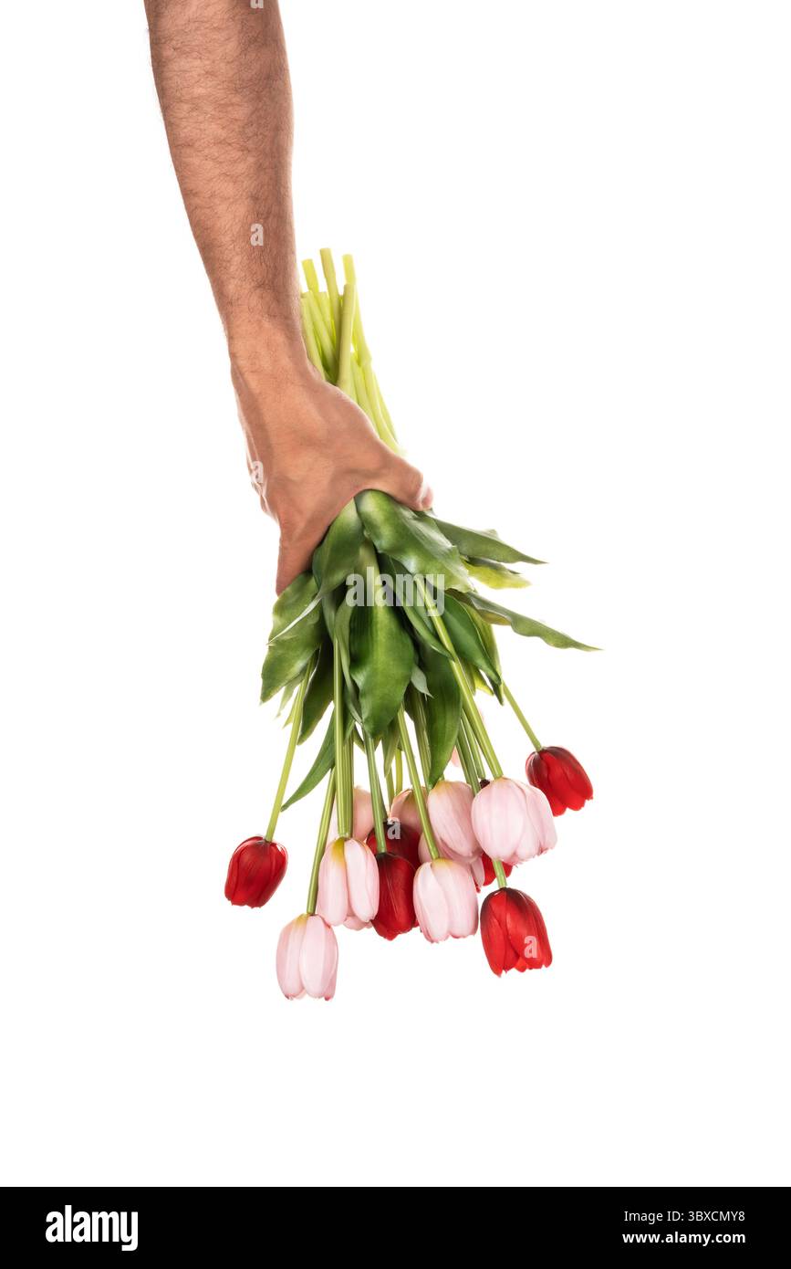 Man holding beautiful spring tulips on white background. Flowers ...