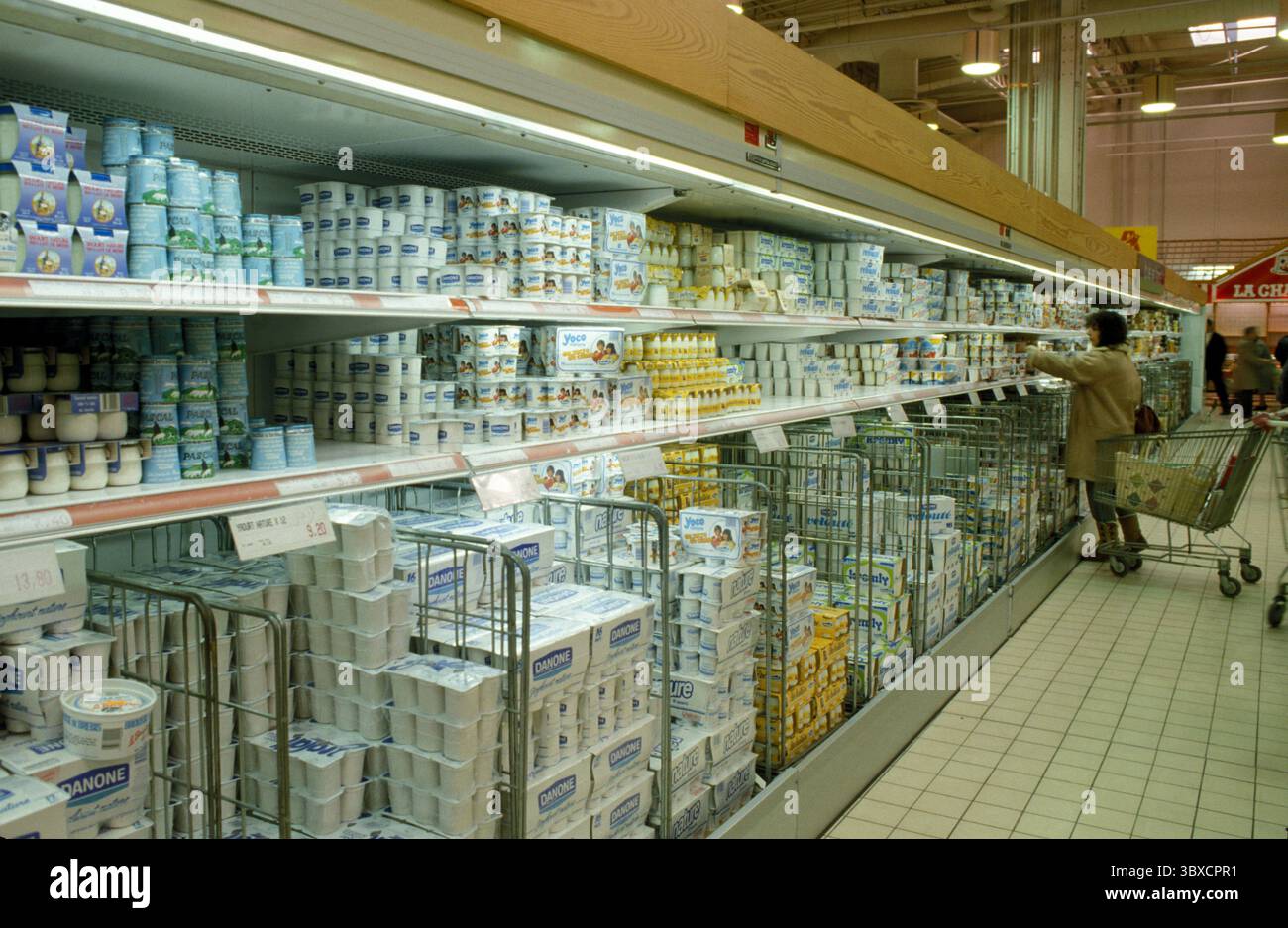 supermarket diary products line milk and chees food linear suprmarket ...