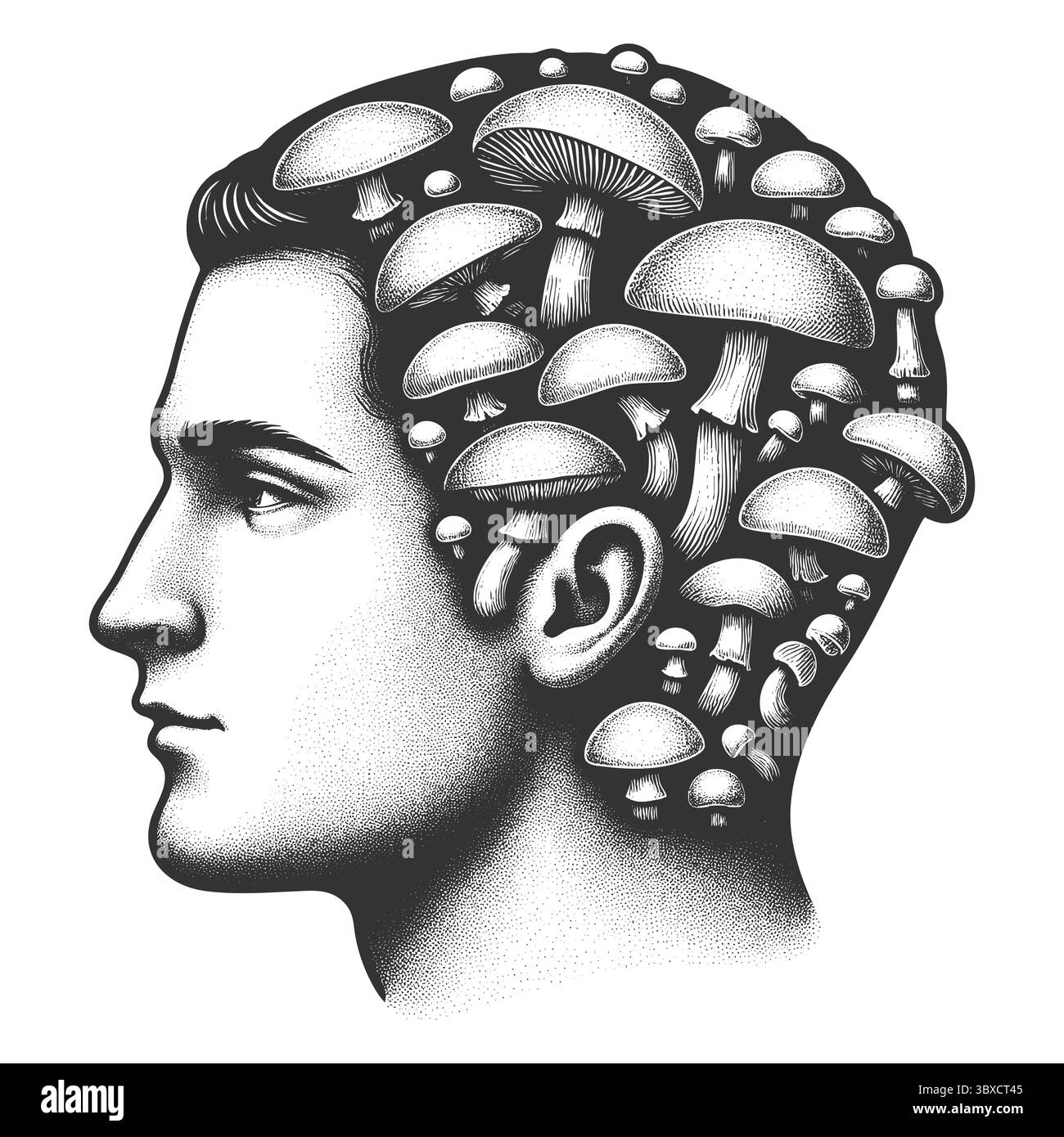 Man Mushrooms Growing Head vector illustration Stock Vector Image & Art ...