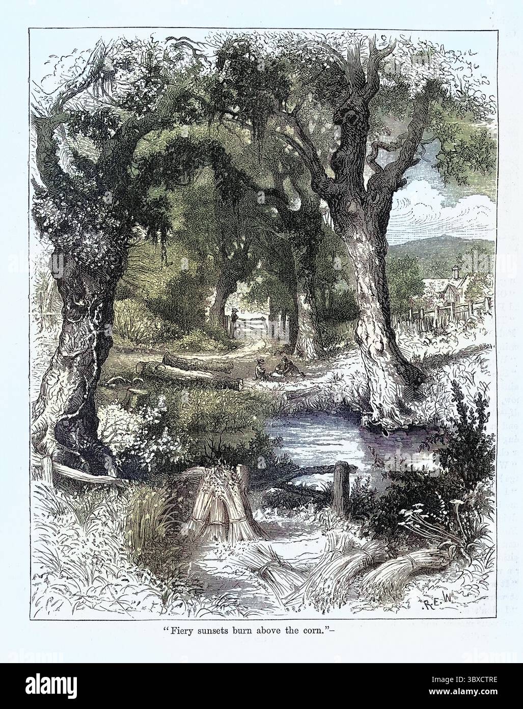 Vintage engraving Victorian English rural landscape, Wheat field ...
