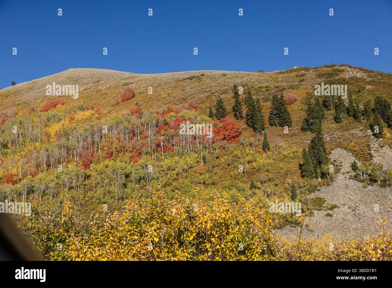 Crisp autumn view near hi-res stock photography and images - Alamy