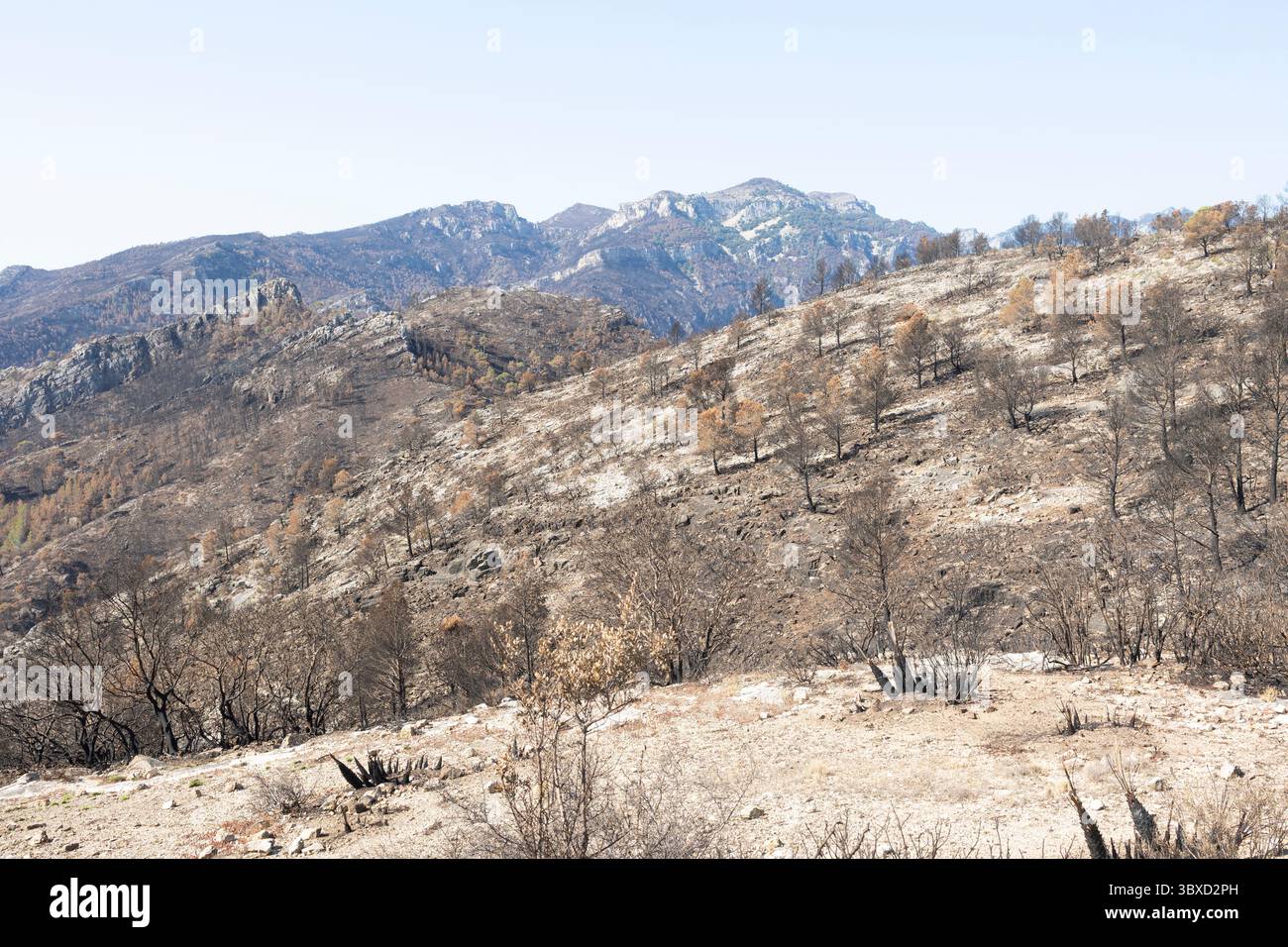 Desolate landscape showing aftermath hi-res stock photography and ...