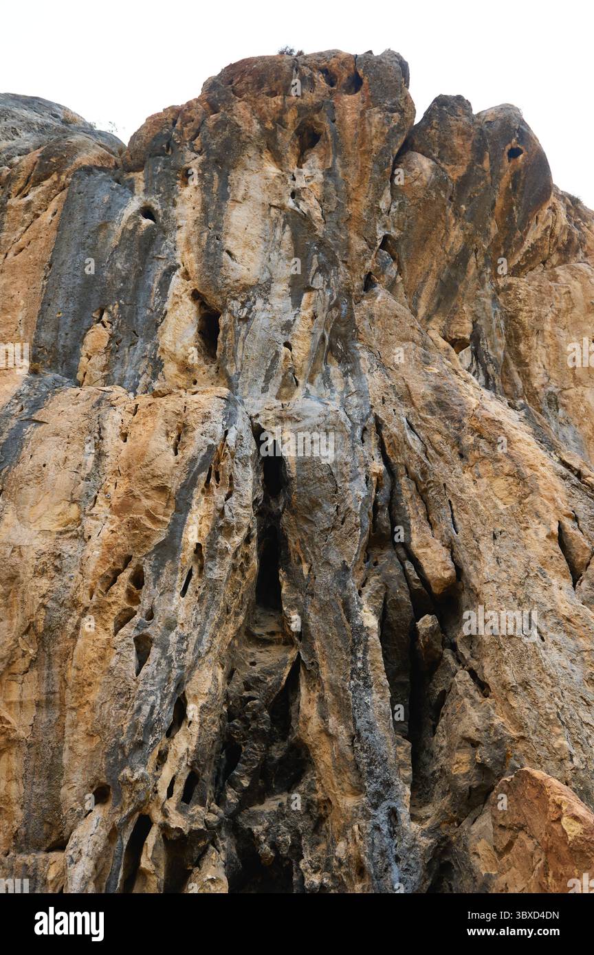 A detailed view of a weathered rock formation, showcasing intricate ...