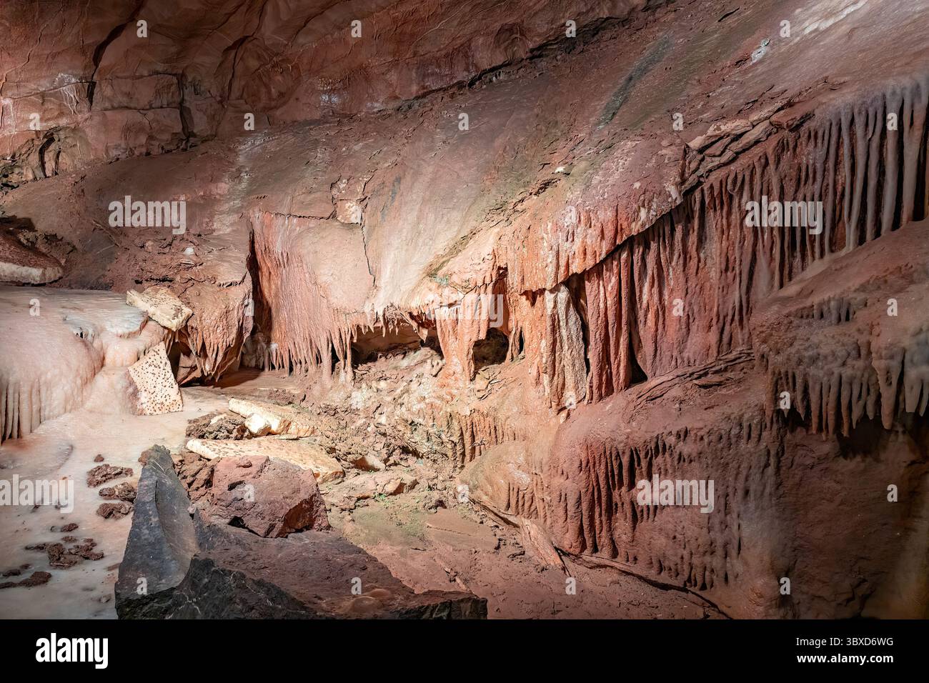 Gough's Cave, Cheddar Caves, Cheddar, Somerset, England Stock Photo - Alamy