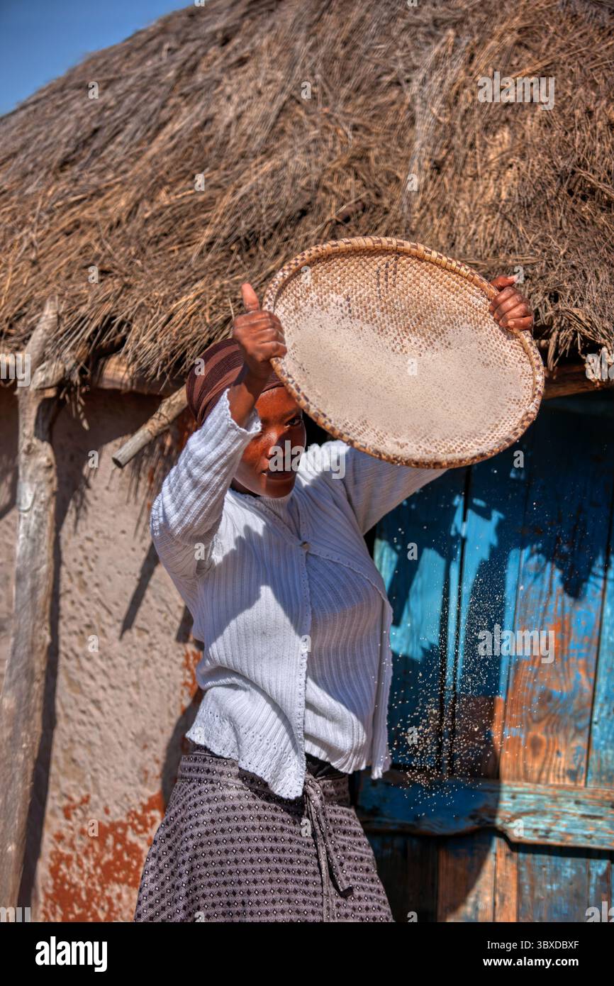 poverty in the village, african woman dancing with sorghum basket in ...