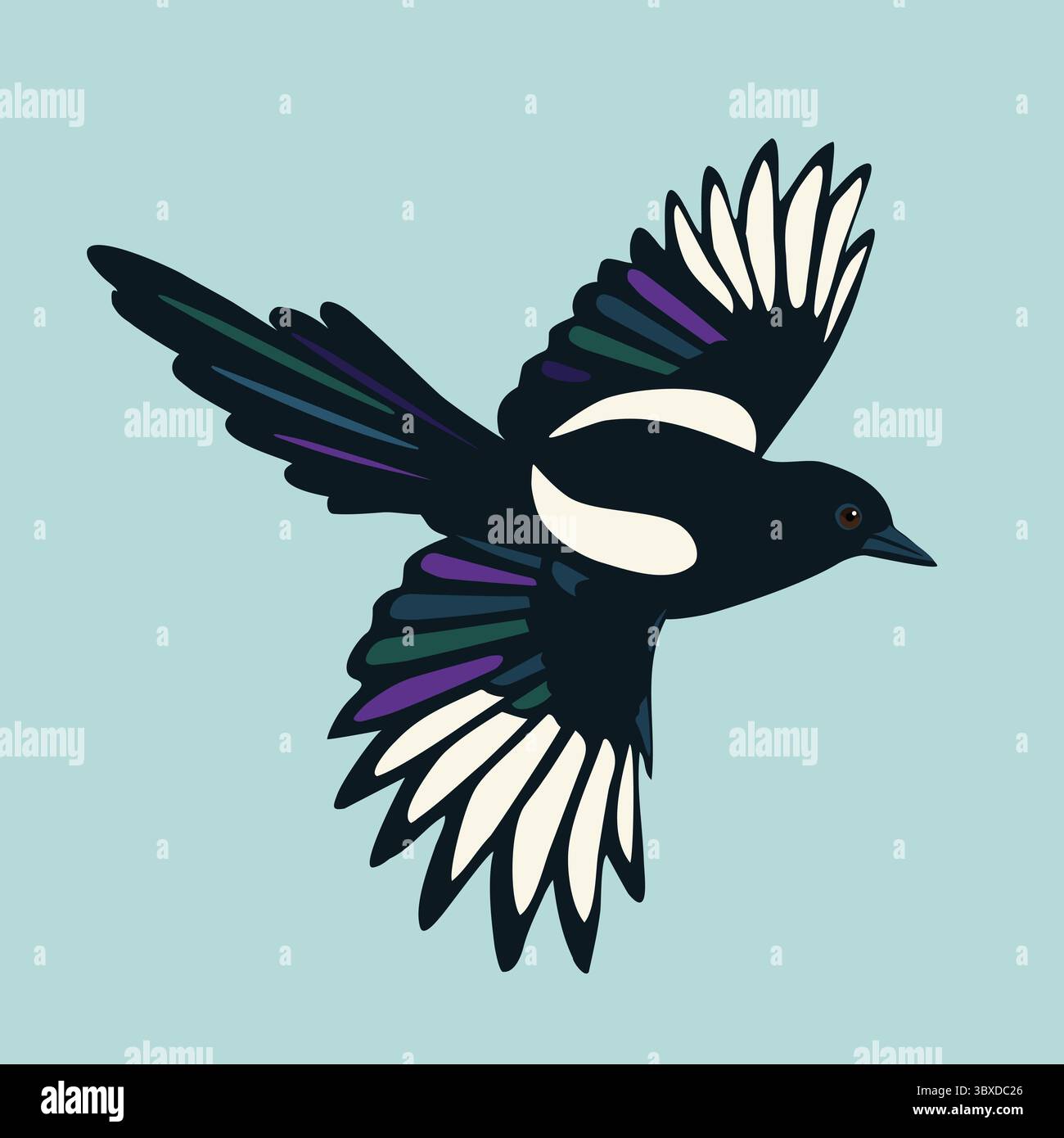 Magpie flight wings Stock Vector Images - Alamy