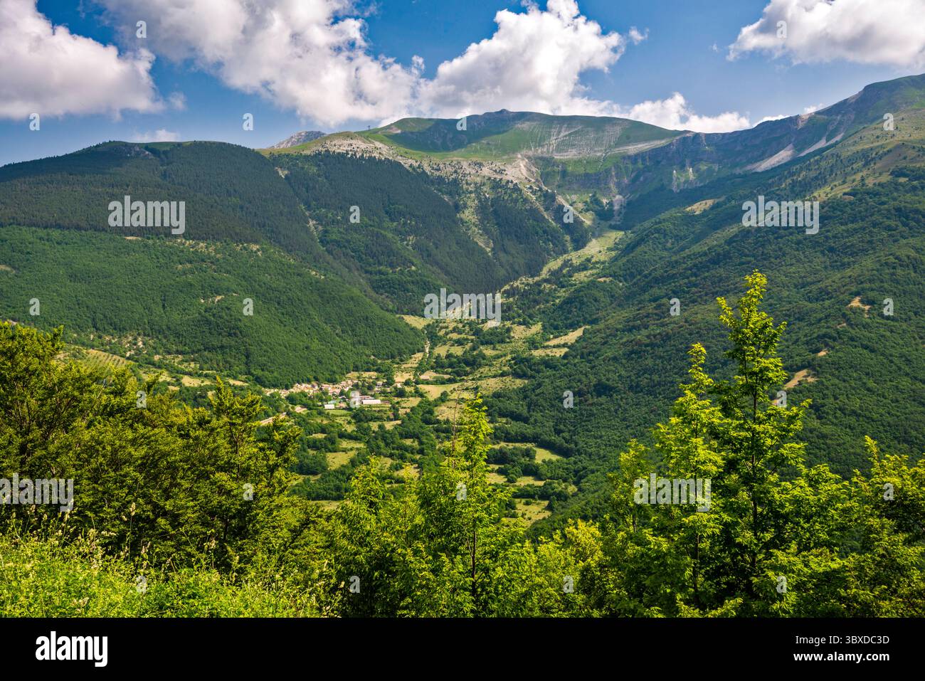 Spina di gualdo hi-res stock photography and images - Alamy