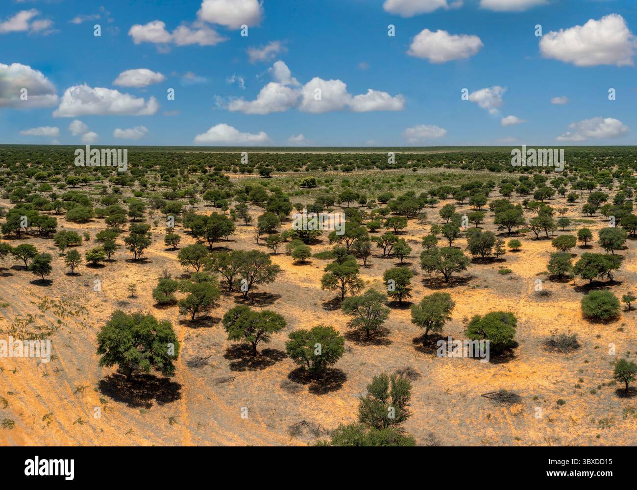 Arid savanna aerial backgrounds hi-res stock photography and images - Alamy