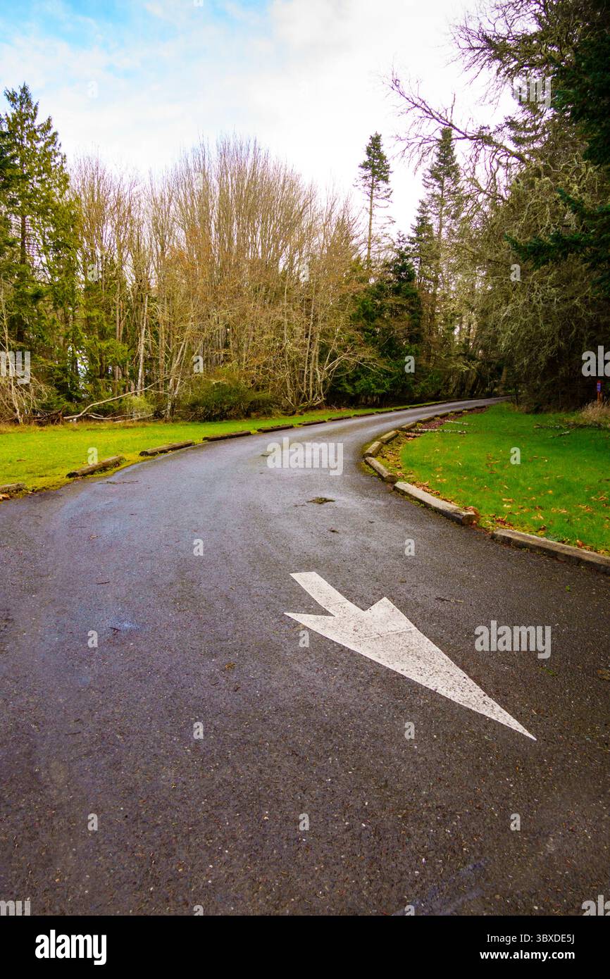 Arrow symbol on pavement, USA Stock Photo - Alamy