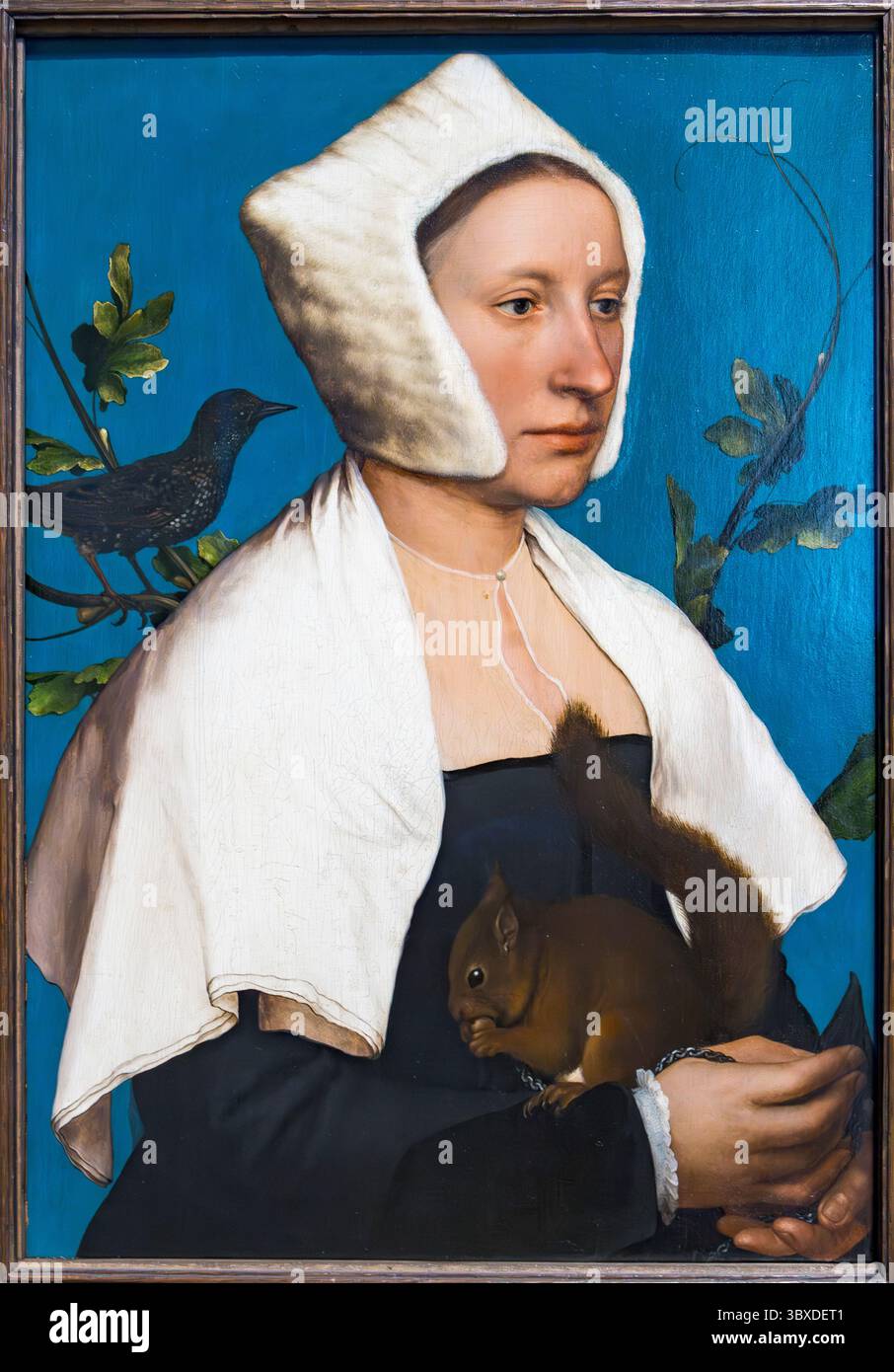 A Lady with a Squirrel and a Starling (Anne Lovell?), oil painting by ...