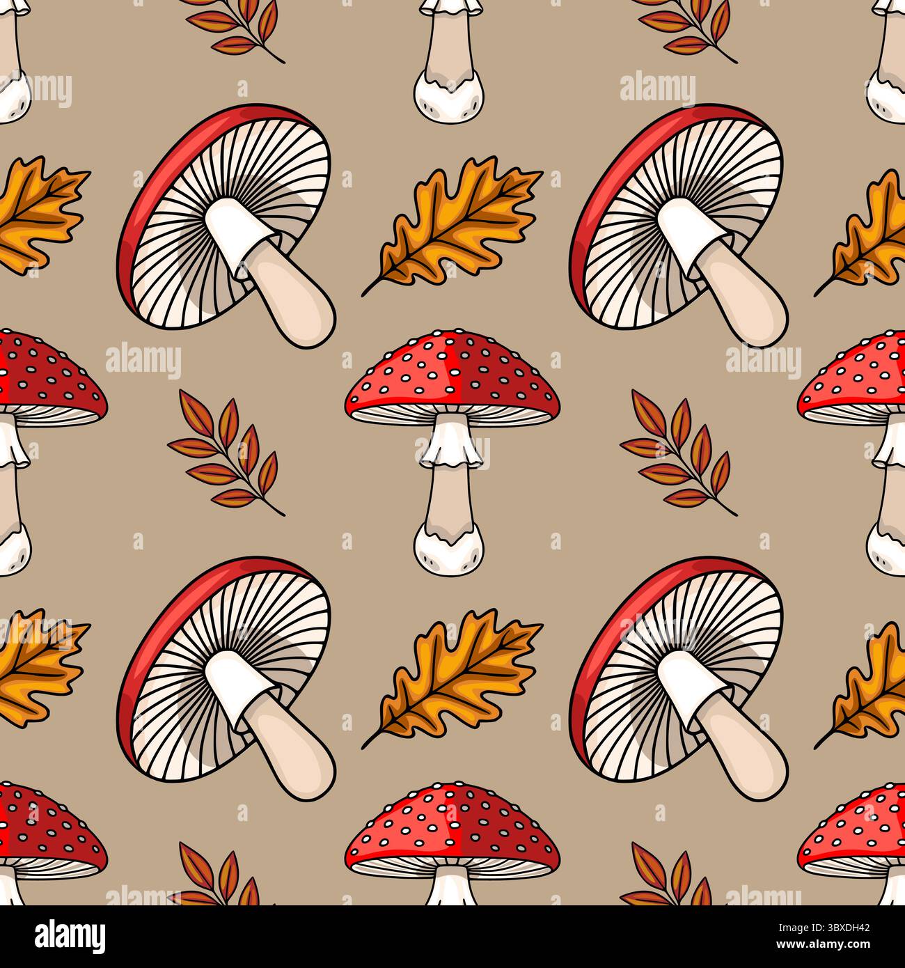 Botanical illustrations fungi Cut Out Stock Images & Pictures - Alamy