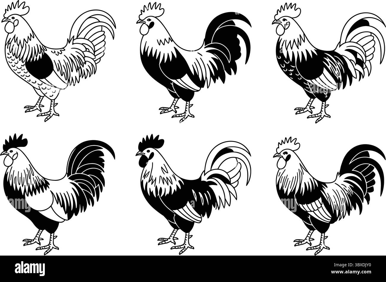 Black and white rooster illustration, farm animal clipart, decorative ...