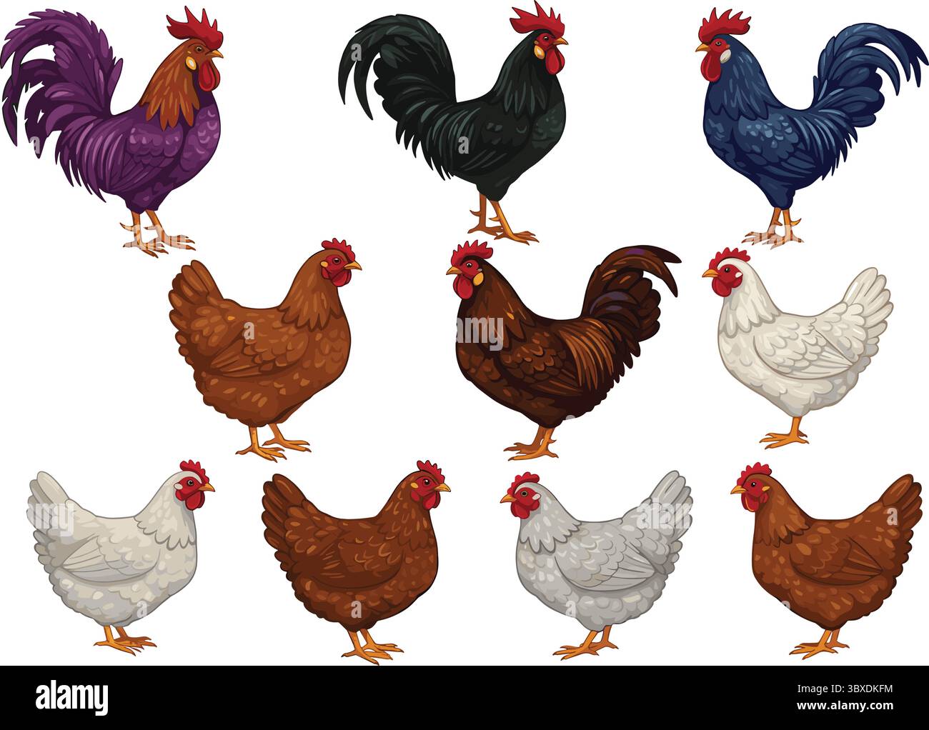 Farm Animal Illustrations: Diverse Roosters and Hens in Vibrant Colors ...