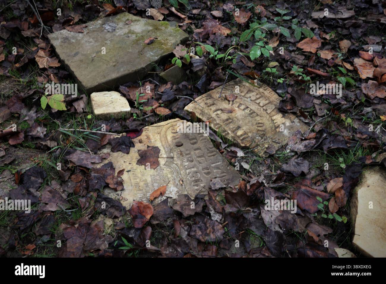 Anna rahm hi-res stock photography and images - Alamy