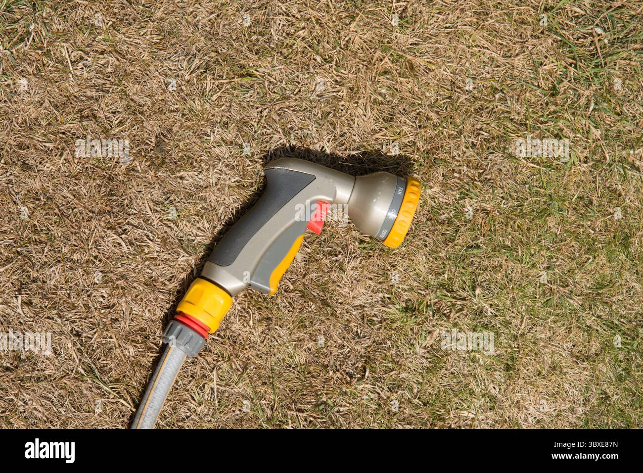 hosepipe, hose, hose pipe spray head lying on ground on dried out brown ...