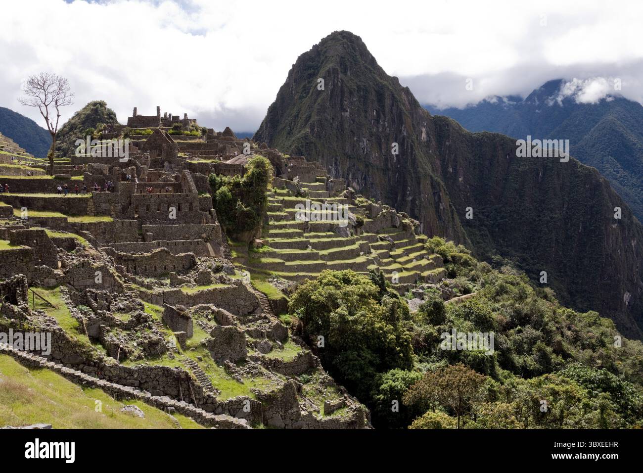 Agricultural terraces for growing crops at Machu Picchu, the 15th ...