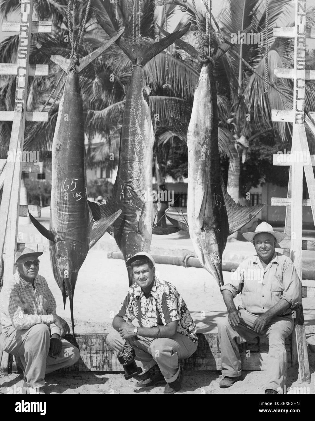 Striped marlin (Kajikia audax), three sport fishermen in la Paz, Baja ...