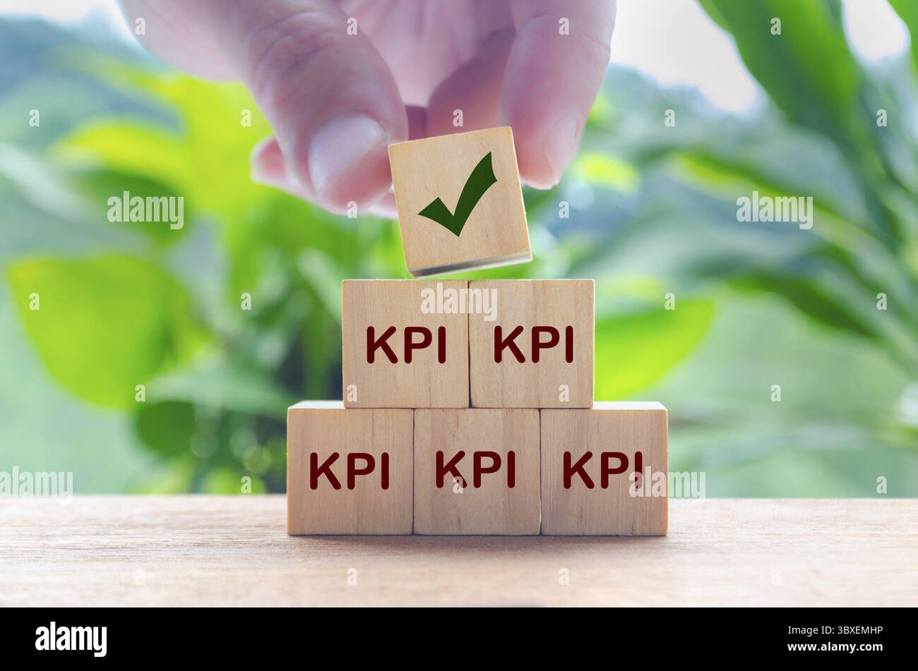 Hand holding wooden cube with tickmark sign indication achievement of ...