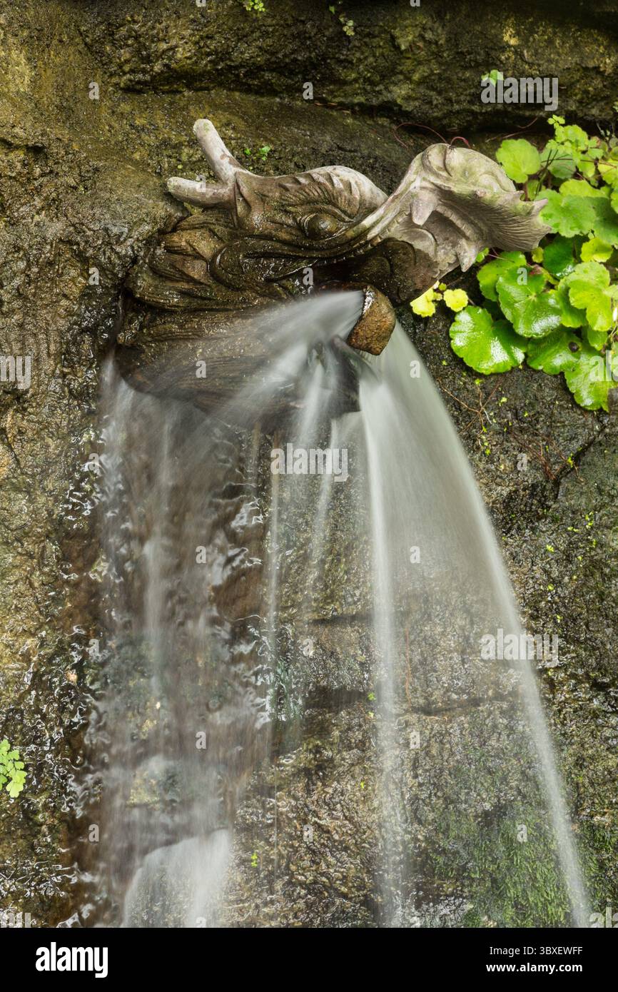Spewing water beneath hi-res stock photography and images - Alamy