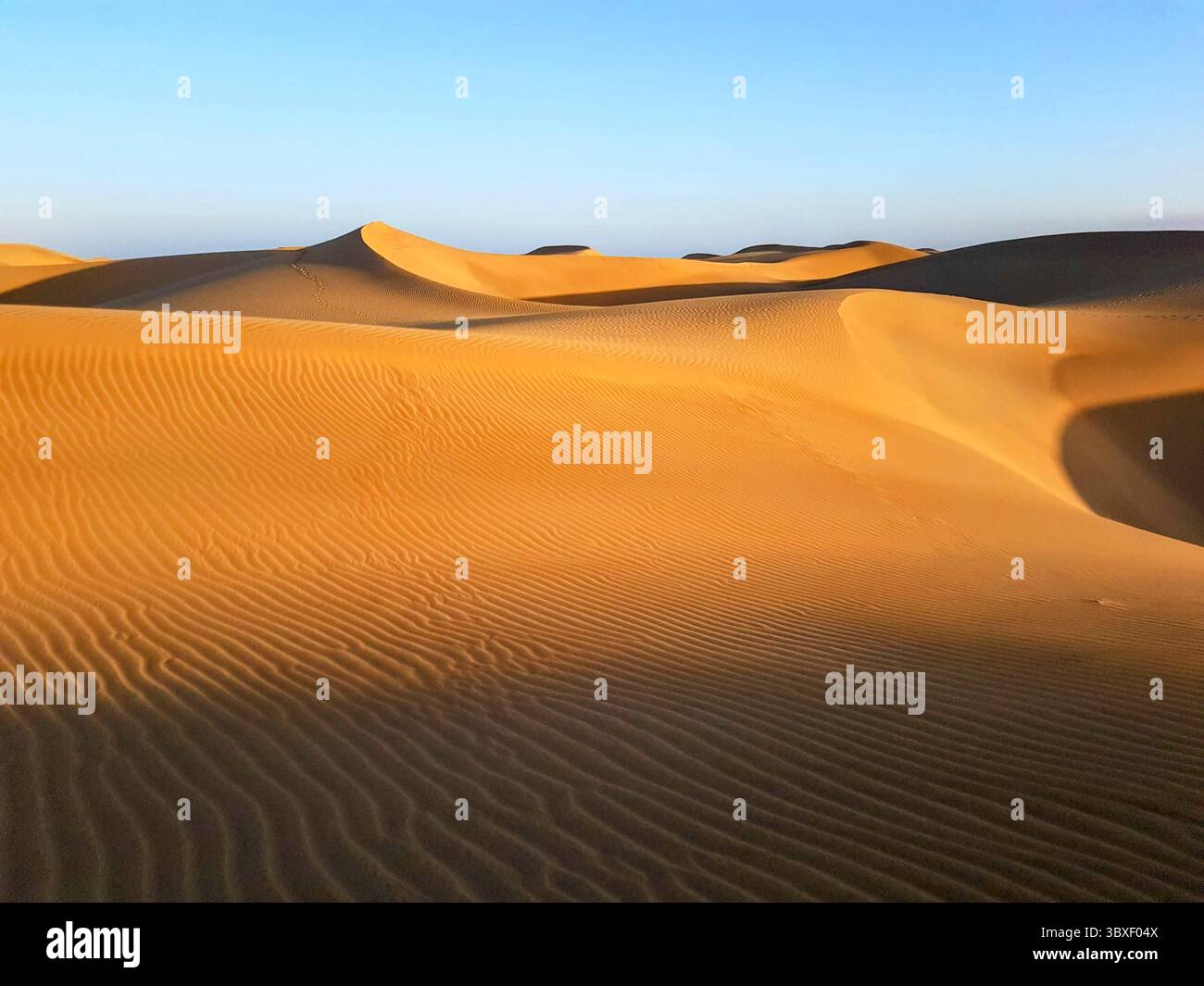 Sand dunes in golden sunlight with wave formations and soft blue sky ...