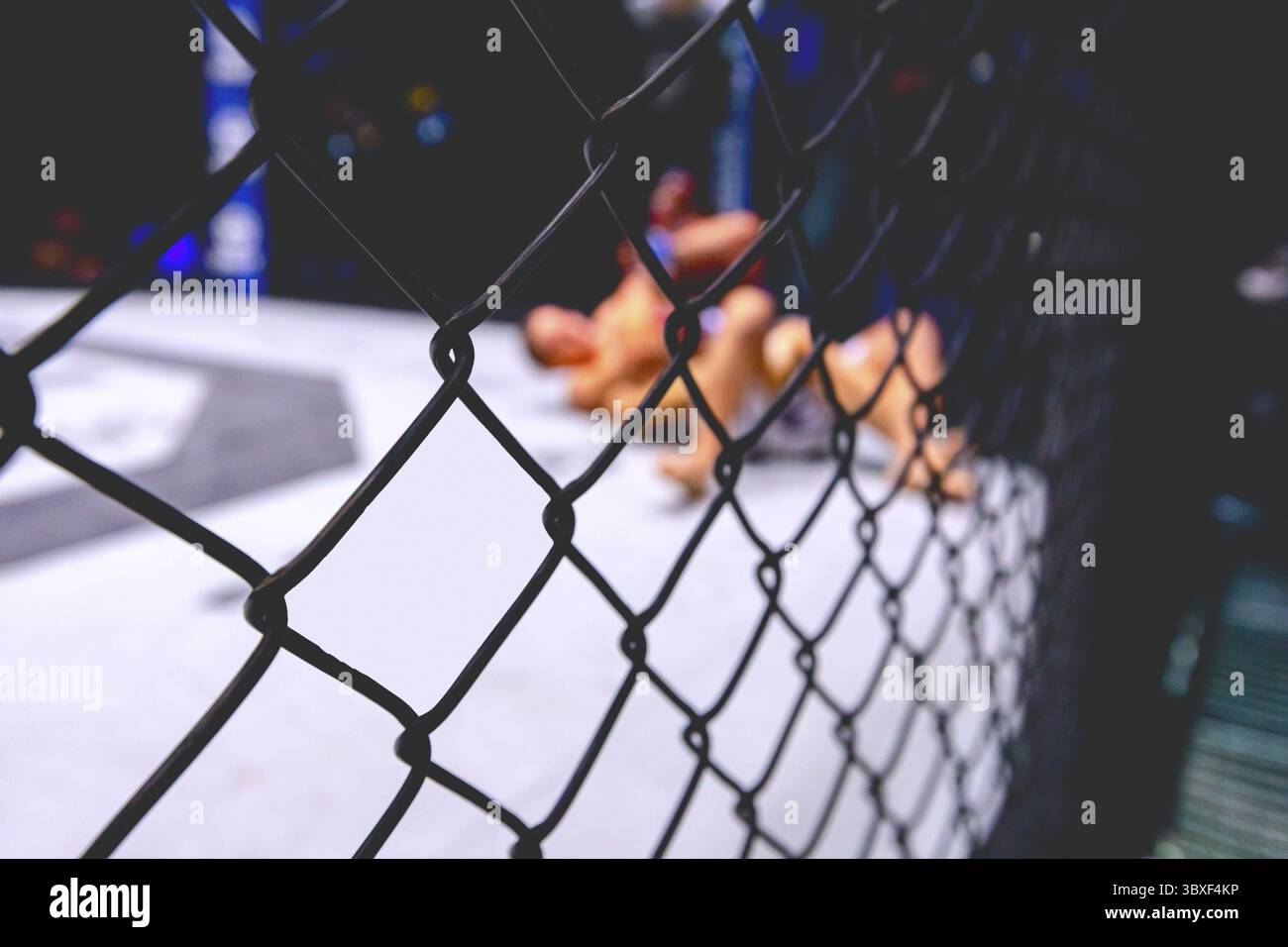 Two strong muscular professional MMA fighters fighting, they are in ...