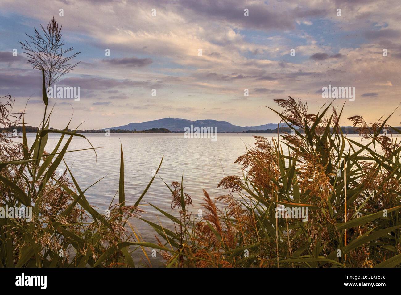 The Palava Protected Landscape Area, UNESCO biosphere reserve, Czech ...