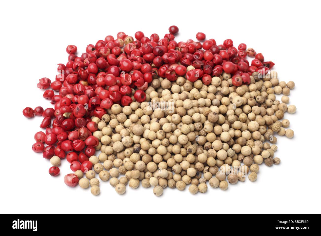 Pink robin Cut Out Stock Images & Pictures - Alamy