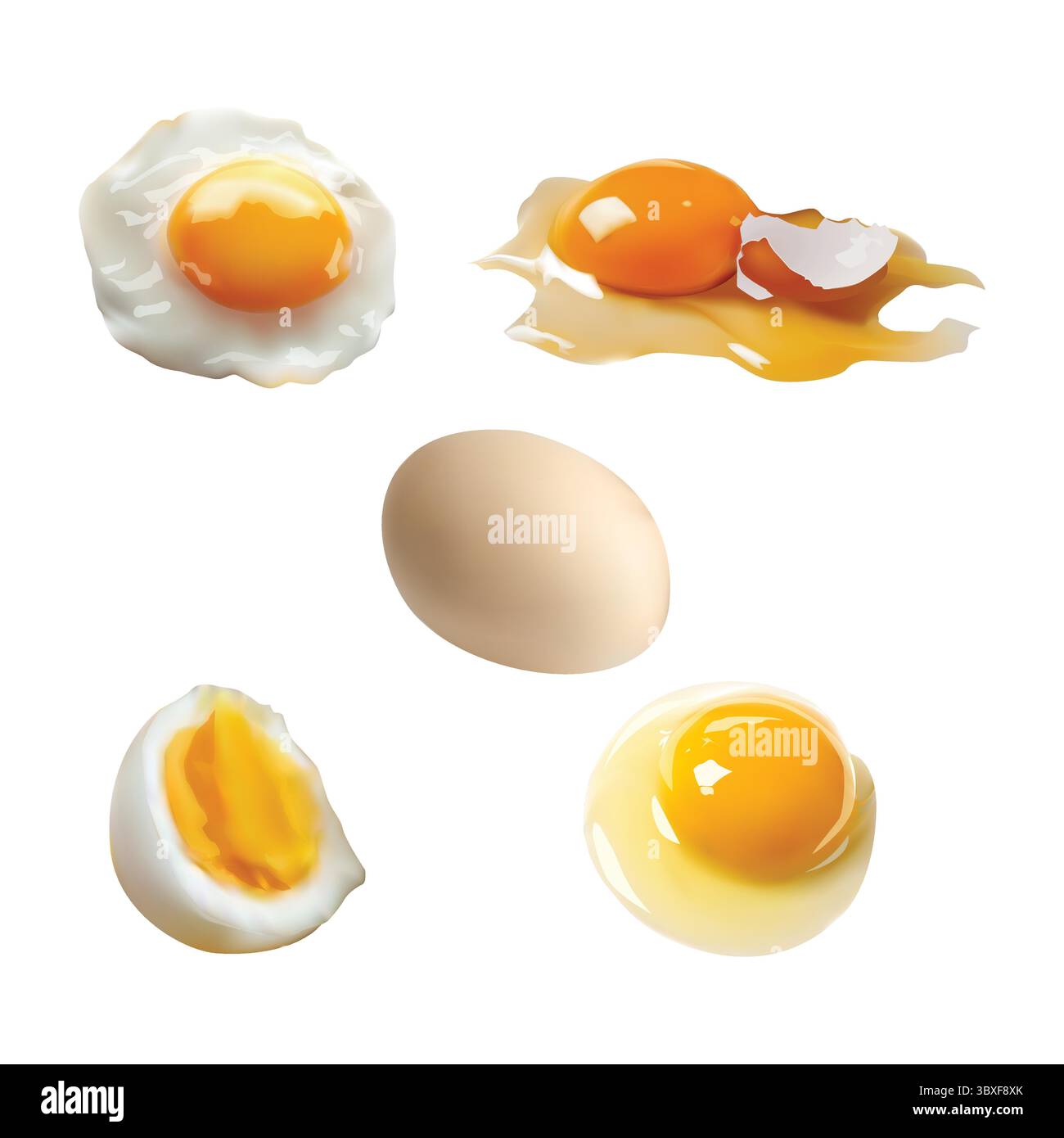Gourmet dessert on clean Stock Vector Images - Alamy
