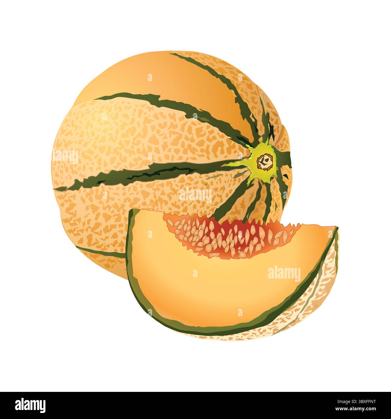 7 4 15 Stock Vector Images - Alamy