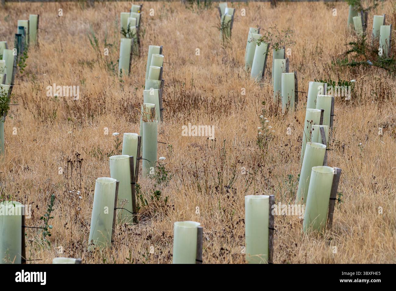 Taplow, UK. 14th July, 2025. Following the upgrade of the M4 Smart ...