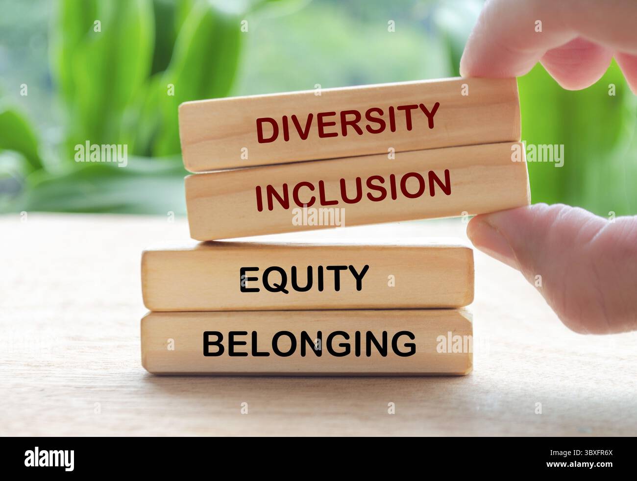 Hand placing Cultivate Diversity, Inclusion, Equity and Belonging text ...