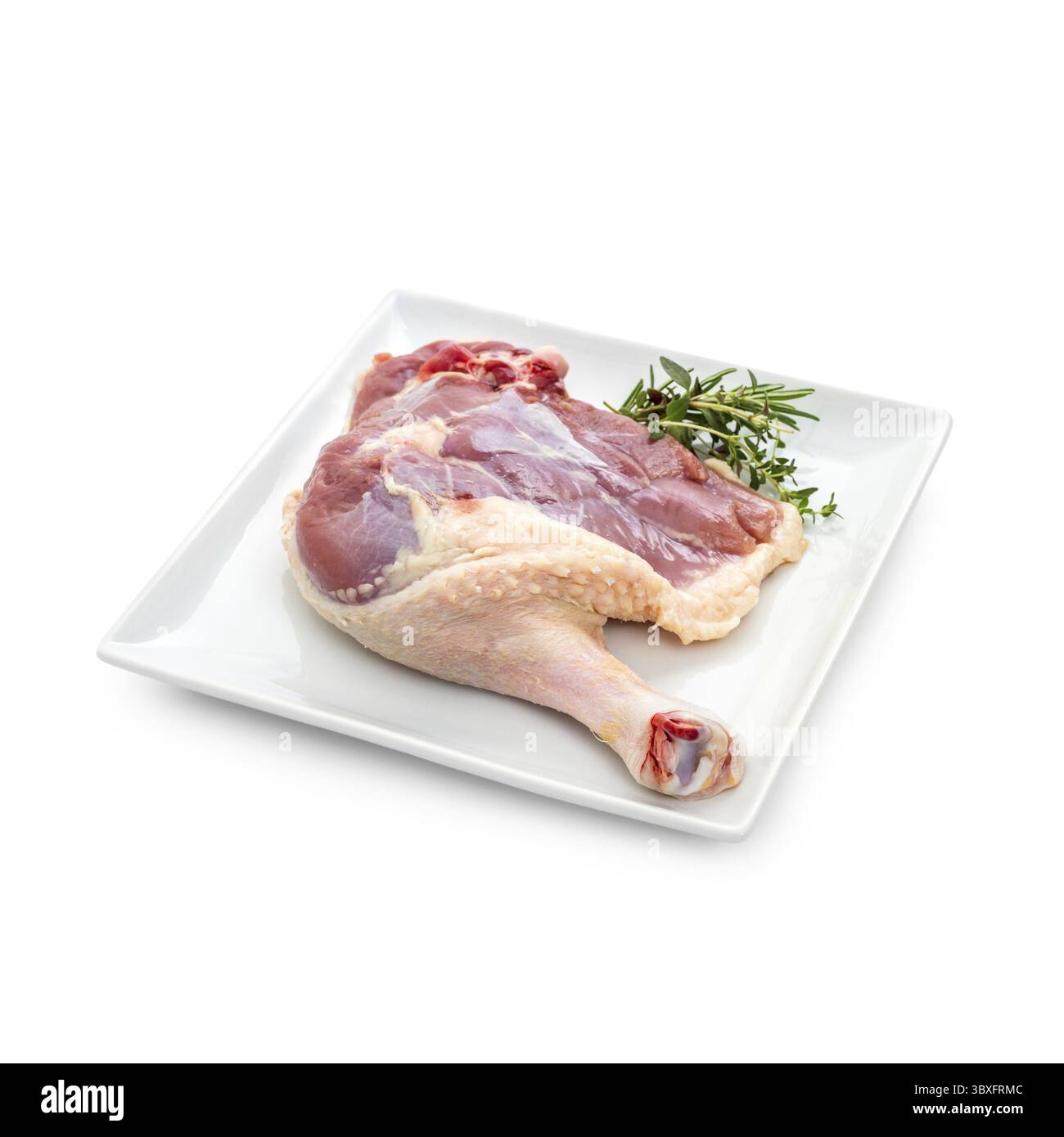 Close up bird leg Cut Out Stock Images & Pictures - Alamy