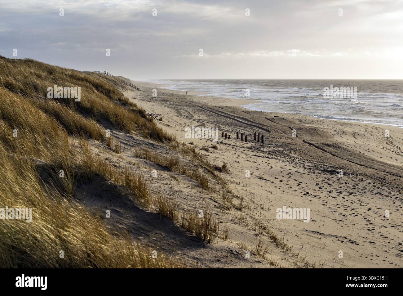 Chain of dunes on the North Sea beach on Sylt Stock Photo - Alamy