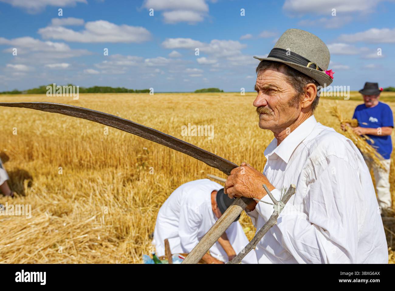 Farmer is holding scythe in front of field with mature wheat Stock ...