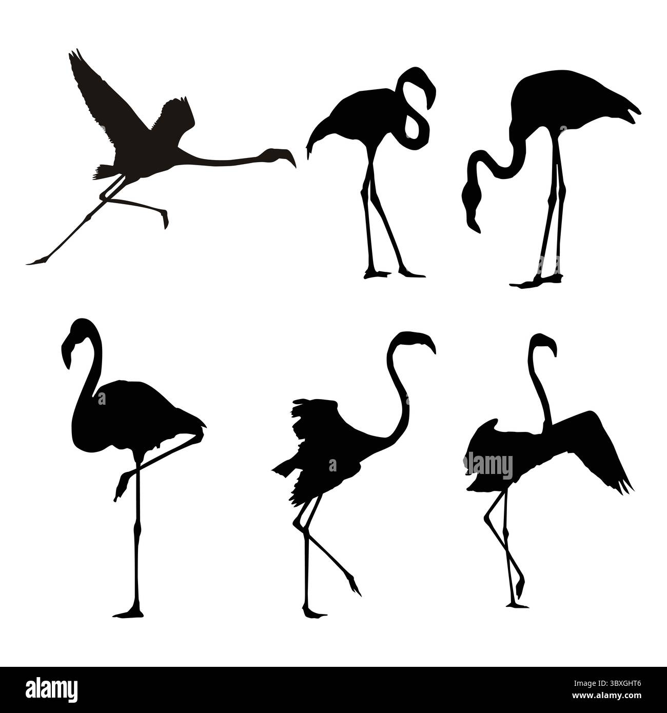 Flamingo Birds shapes vector-based illustration Stock Vector Image ...